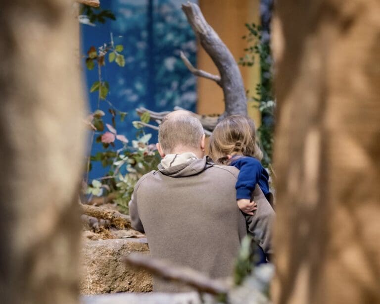 World Forestry Center: A Family Adventure in Portland - Explore ...