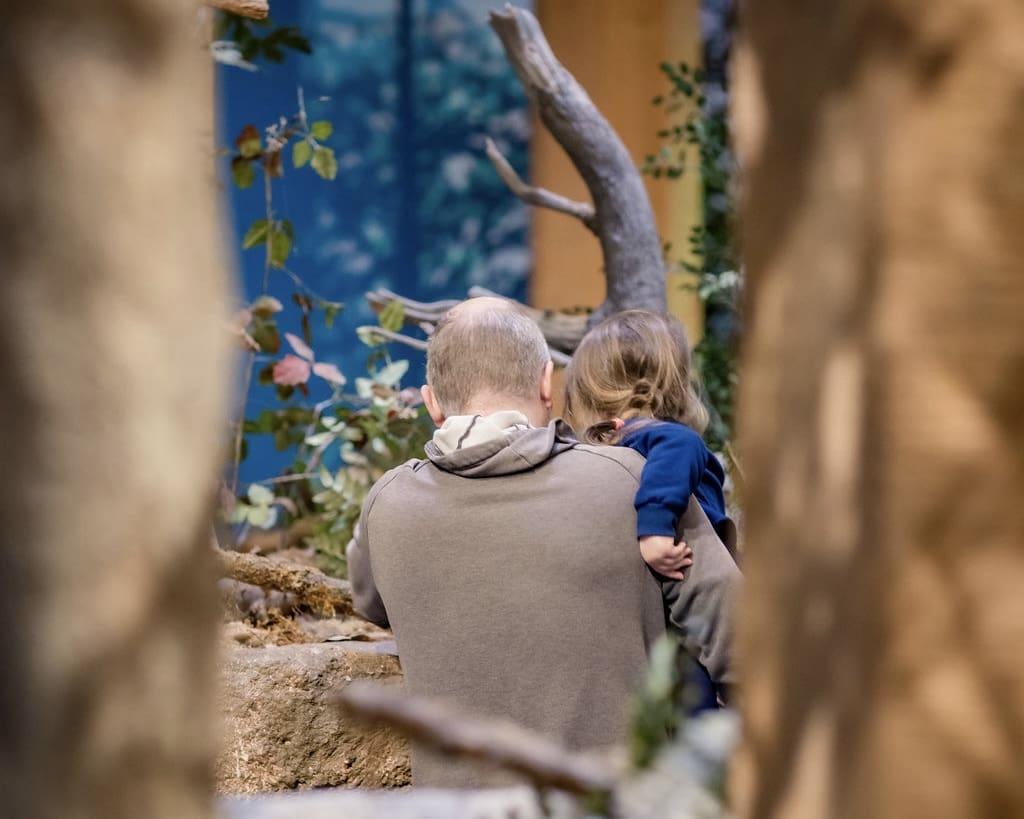 World Forestry Center: A Family Adventure in Portland - Explore ...