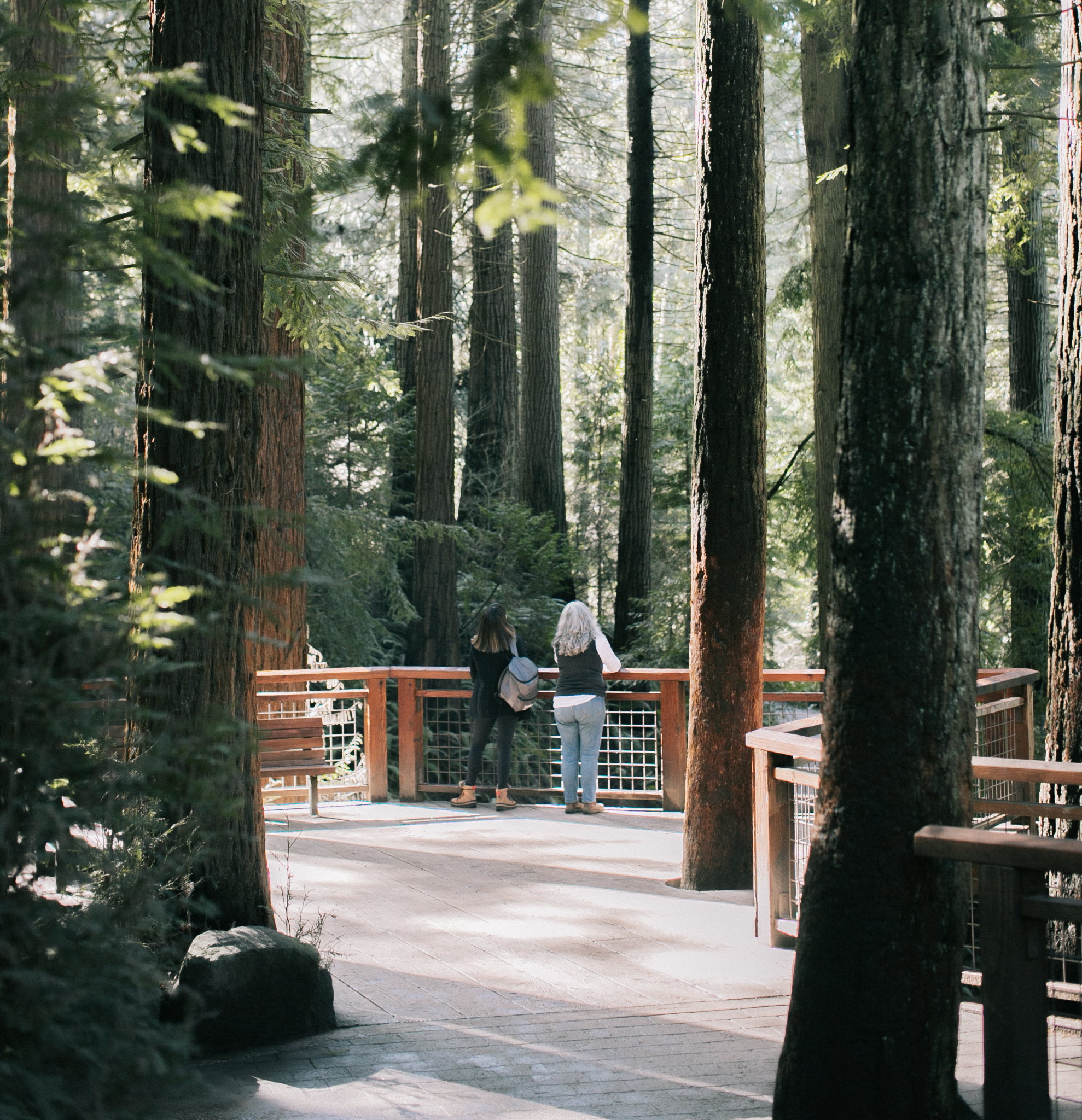 Top 3 Spaces to Explore in Hoyt Arboretum This Winter